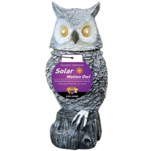 owlsome solar snowy owl with flashing eyes, rotating head, hooting, motion detector and silent mode, plastic owl garden sculpture, garden decoration