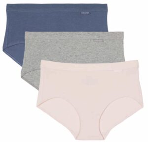 calvin klein womens 3 pack modern brief (as1, alpha, l, regular, regular, nymphs/heather gray/navy, large)