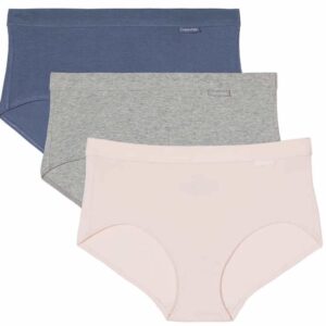 Calvin Klein Womens 3 Pack Modern Brief (as1, alpha, l, regular, regular, Nymphs/Heather Gray/Navy, Large)