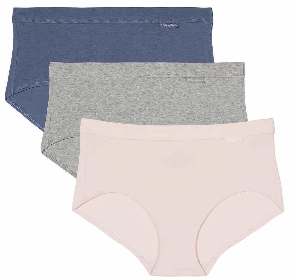 Calvin Klein Womens 3 Pack Modern Brief (as1, alpha, l, regular, regular, Nymphs/Heather Gray/Navy, Large)