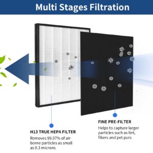 FCFMY 2 Packs H13 True HEPA Replacement Filter Compatible with InvisiClean Claro IC-4524 Air Cleaner Purifier with Activated Carbon Pre-Filter