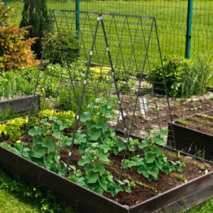 AGTEK 34" x 48" Foldable Cucumber Trellis with Garden Stakes and Zip Ties Plant Support A Frame Metal Trellis for Climbing Plants, Cucumber, Vegetable, Flowers