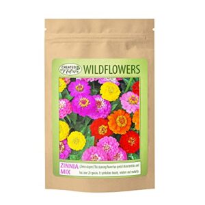 zinnia flower seeds for planting - over 2,200 premium seeds - attracts pollinators - non gmo