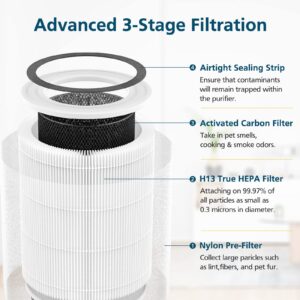 TPAP001 H13 True HEPA Replacement Filter, Only Compatible with TOPPIN TPAP001 Comfy Air C2 Air Purifier, 4-in-1 HEPA Air Filter, Part # TPFF001【Not Fit Kokofit KJ510B & TPAP002 TPAP004 TPAP005】