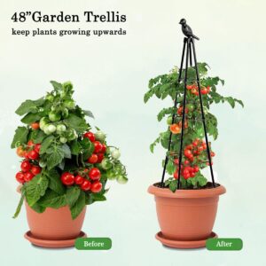 Garden Trellis, Support Plant Stand for Climbing Plants Outdoor and Indoor Trellis, Potted Plants Flowers Vegetables and Vines, Tomato Cage Tower - 1 Pack