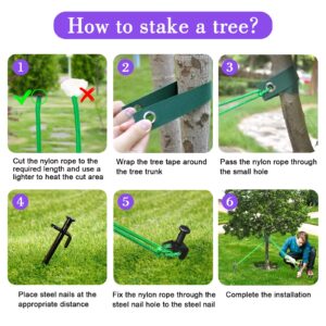 Heavy Duty Tree Stakes and Supports Kit, 3 Pcs 15.8" Tree Straightening for Leaning Tree Hurricane Protection. Include 3 PCS 15.8" Steel Tree Stakes, 3 PCS 15.8" Tree Straps 32.8 FT Rope