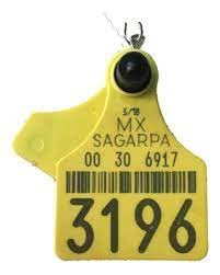 nuestratradicionmex cattle tag keychains | llaveros de aretes de vaca, llavero arete de res, authentico cow tag keychain (yellow)