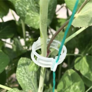 piteno® 300pcs tomato clips, plastic trellis clips, plant support clips, grape vine tomato vine vegetables plants garden support clips to grow upright makes plants healthier