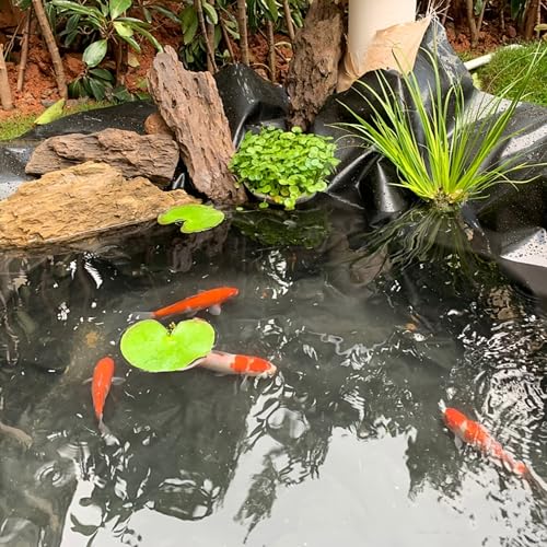 Adroiteet 7 x 10 FT Pond Liner, 20 Mil Fish Pond HDPE Liner, Pond Liners for Outdoor Ponds, Koi Ponds, Garden Fountain, Waterfall