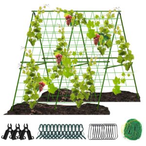 toccyard 48”x 48”foldable cucumber trellis set, a-frame garden trellis for climbing plant outdoor, detachable cucumber trellis for raised bed, plant grow support for tomato, squash, vegetable