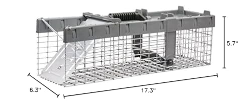 Havahart 1026 Small 1-Door Humane Live Catch and Release Animal Trap for Squirrels, Weasels, Chipmunks, and Small Animals,White