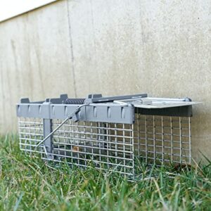 Havahart 1026 Small 1-Door Humane Live Catch and Release Animal Trap for Squirrels, Weasels, Chipmunks, and Small Animals,White