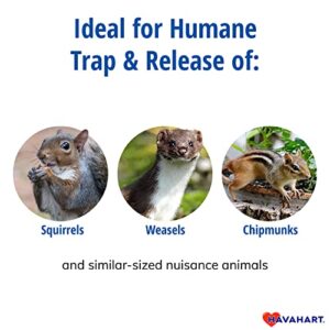 Havahart 1026 Small 1-Door Humane Live Catch and Release Animal Trap for Squirrels, Weasels, Chipmunks, and Small Animals,White