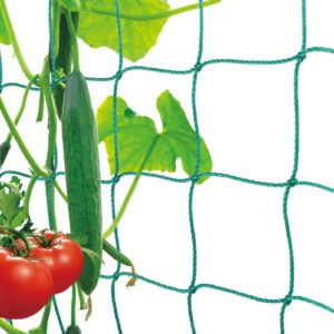 hoecmrhp trellis netting, heavy-duty garden grow netting for climbing plants, outdoor indoor net for cucumber, tomatoes, beans, clematis, fruits & vegetables, climbing vining plants (8.2' x 6.6'ft)