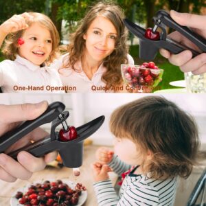 Cherry Pitter - Heavy-Duty Stainless Steel Olive and Cherry Pitters Corer Tool with Space-Saving Lock Design, Multi-Function Cherries Stoner Seed Remover Tool for Making Cherry Jam (Black)