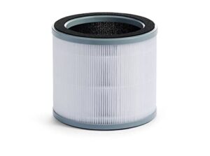 holmes true hepa filter, white