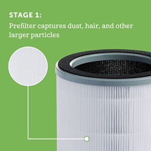 Holmes True HEPA Filter, White