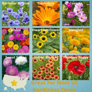 Camas- Pollinator Wildflower Seed Packets - (20) Party Favors to Attract Bees, Butterflies, and Hummingbirds to Your Plant and Flower Garden-Annual Wildflower Mix