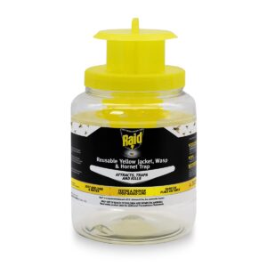 raid reusable yellow jacket, wasp & hornet trap, hanging wasp trap