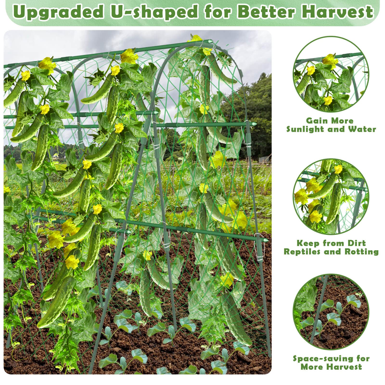 Tetutor Cucumber Trellis for Raised Beds, 63 x 45 Inch U-Shaped Garden Trellis for Climbing Plants Outdoors with Climbing Net, Metal Detachable Arch Plant Support Vegetable Trellis