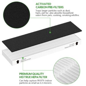 CFKREYA True HEPA Replacement Filter, Compatible with Fellowes AeraMax 100, AeraMax 90, DX5 & DB5 9287001 9324001, 3 H13 True HEPA Filter with 6 Extra Carbon Pre-Filter