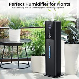 Humidifiers Large Room Bedroom with 7 Colors Light, 2.1Gal(8L) 3 Speed Quiet Ultrasonic Cool Mist Humidifier with 360° Nozzle, Humidity Setting, Timer,Aroma Box for Home Plant Baby Yoga Sleep (Black)