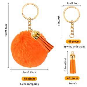 winee 48 pieces Pom Poms Keychains Bulk Puff Ball Keychain Fluffy Soft Artificial Faux Fur Puff Ball Keychain Accessories with Tassels and Keyrings for Women Girls