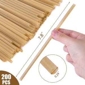 HANSGO Sugarcane Straws, 200PCS Drink Straws Disposable Plastic-Free Straws for Hot Cold Drinks