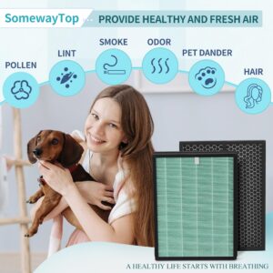 BioGS 2.0 Filters Replacement Kit Compatible with Rabbit Air Biogs Filter Replacement SPA-550A and SPA-625A, Air Clenaer to Remove Odor for Home and Large Room, 2x H13 True HEPA and 2x Carbon