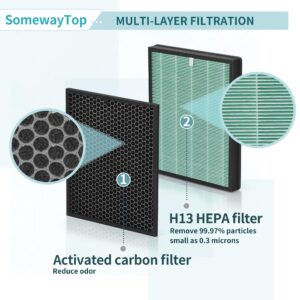 BioGS 2.0 Filters Replacement Kit Compatible with Rabbit Air Biogs Filter Replacement SPA-550A and SPA-625A, Air Clenaer to Remove Odor for Home and Large Room, 2x H13 True HEPA and 2x Carbon