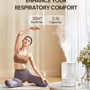 raydrop Humidifiers for Bedroom, 2.5L Top Fill Cool Mist Humidifiers for Home, Large Room, Baby, and Plant, Essential Oil Diffuser with Cycling 7 Color Lights, 360° Nozzle, Auto Shut-Off, White