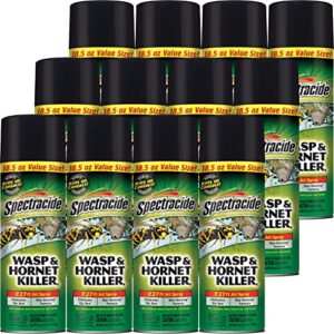 spectracide wasp & hornet 3, 12 pack, 18.5 oz insect killer