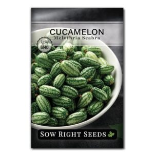 sow right seeds - cucamelon seeds for planting - non-gmo heirloom packet with instructions to plant an outdoor home vegetable garden - mini bitter mouse melon, mexican sour gherkin - rare variety (1)