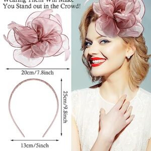 6 Pcs Fascinators Hat Tea Party Headwear Ribbons Feathers Women Hat Flower Mesh Headband Wedding Flower Hair Clip for Party Wedding Carnival