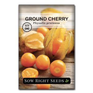 sow right seeds - ground cherries seeds for planting - non-gmo heirloom packet with instructions to plant an outdoor home vegetable garden - mexican husk tomato - endangered variety (1)