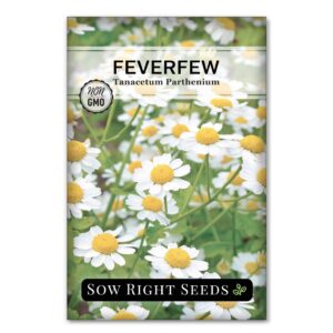 sow right seeds - feverfew seeds for planting - non-gmo heirloom packet with instructions to plant an outdoor or indoor herb garden - traditional medicinal herb, make tea & extract for migraines (1)