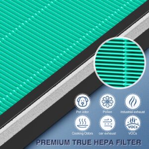 2 Pack 250/250S Replacement Filters for Coway AIRMEGA Max2 250 250S Smart Air Purifier, Max 2 Green True HEPA and Activated Carbon Filter Set, AP-1720-FP