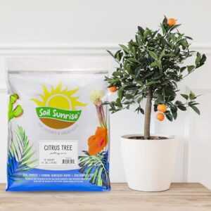 Citrus Tree Potting Soil Mix (12 Quarts), Special Blend for Indoor Oranges, Lemons, Limes and More