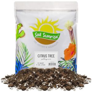 citrus tree potting soil mix (12 quarts), special blend for indoor oranges, lemons, limes and more