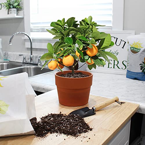 Citrus Tree Potting Soil Mix (12 Quarts), Special Blend for Indoor Oranges, Lemons, Limes and More