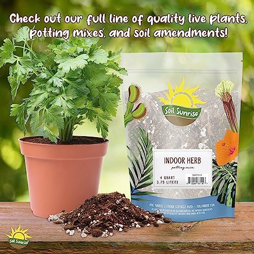 Citrus Tree Potting Soil Mix (12 Quarts), Special Blend for Indoor Oranges, Lemons, Limes and More