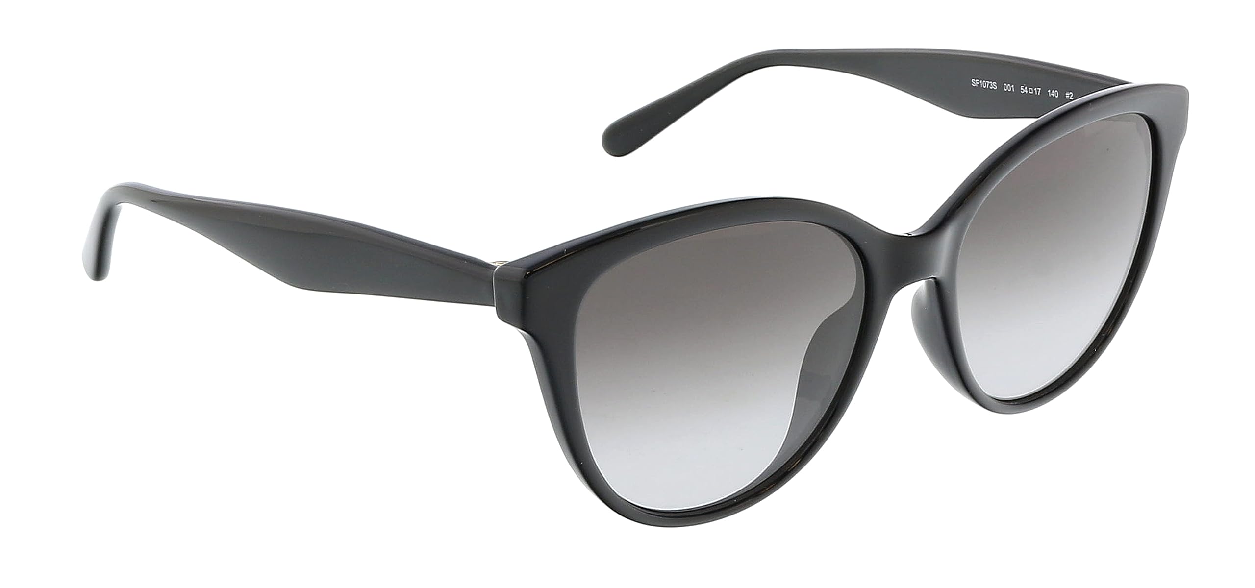 Ferragamo Women's 54Mm Sunglasses, Black