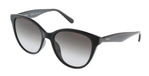 ferragamo women's 54mm sunglasses, black