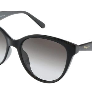 Ferragamo Women's 54Mm Sunglasses, Black