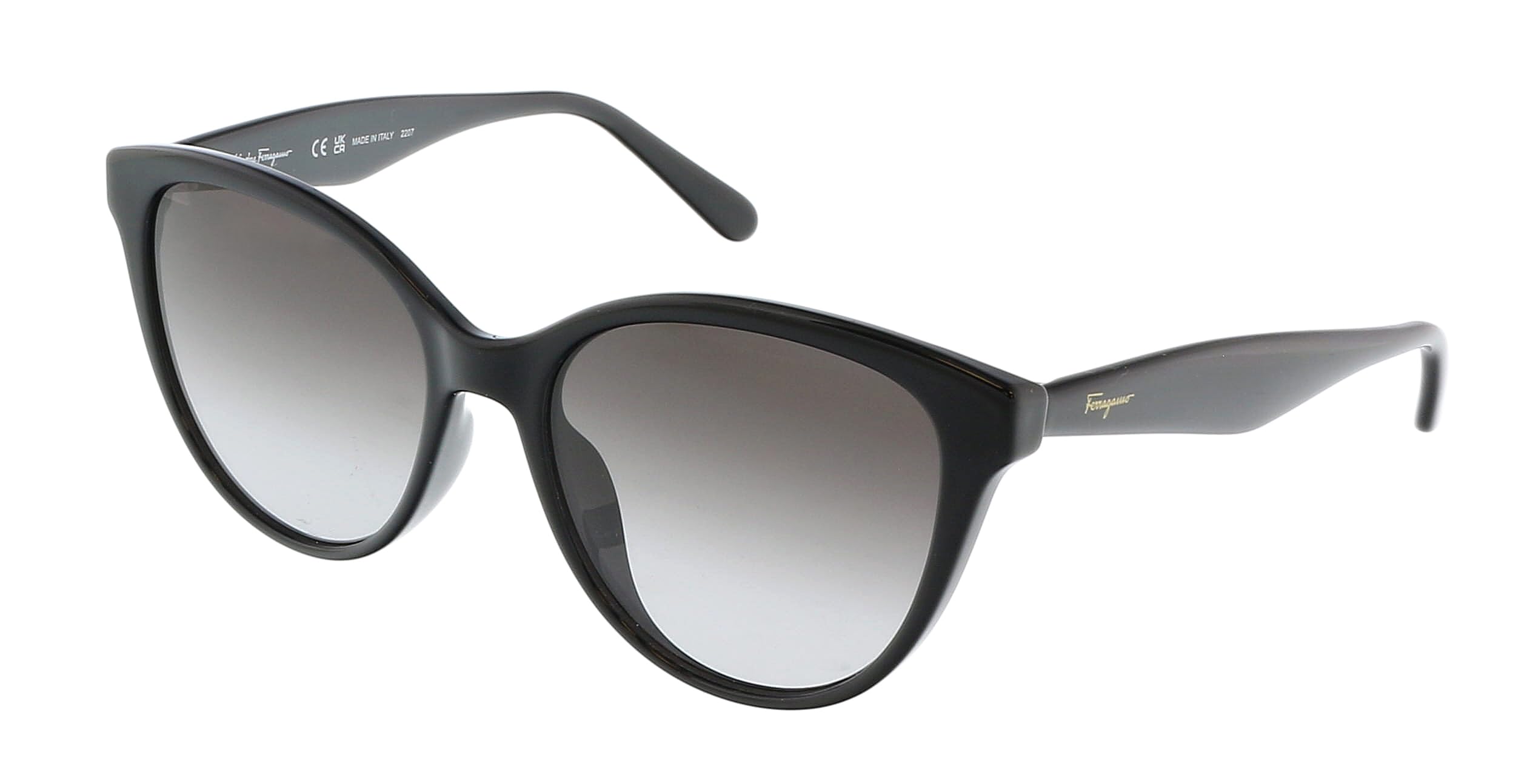 Ferragamo Women's 54Mm Sunglasses, Black