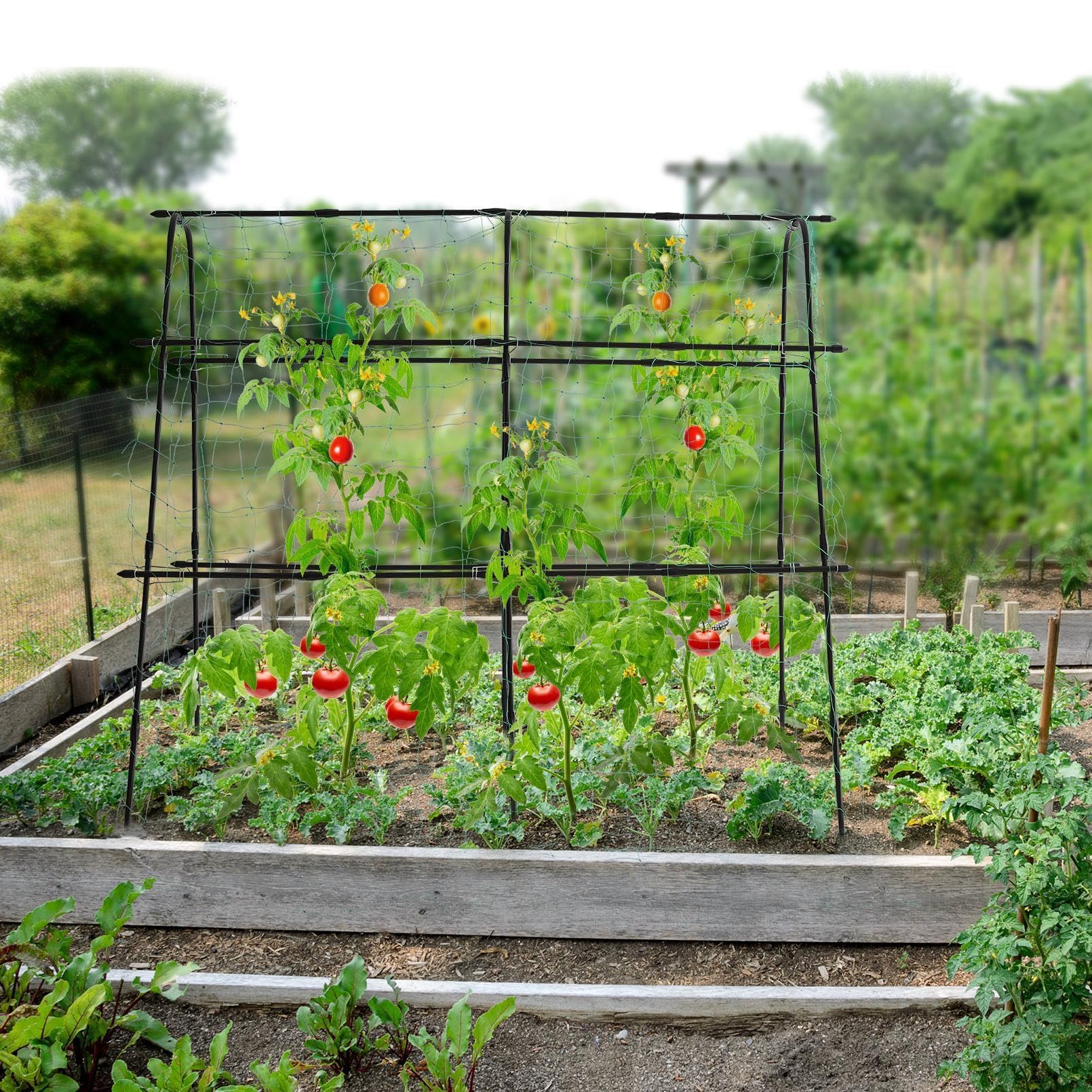 OTOSUNNY Garden Trellis for Climbing Plants Outdoor, 5x5ft Cucumber Trellis for Garden Raised Bed, Garden Trellis for Vegetables, with Nylon Netting, Black PE-Coated Steel Tubing (Dia: 6/11 in)