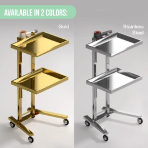 Multifunctional 2-Tray Utility Cart on Wheels - Gold 2-Level Medical Trolley Cart - Mobile Storage Tray Cart for Dental Tools, Cavitation Machine, Salon Supplies - Brass Foldable Storage Trays