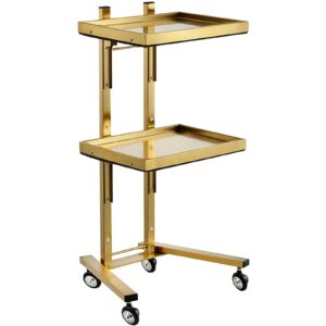 multifunctional 2-tray utility cart on wheels - gold 2-level medical trolley cart - mobile storage tray cart for dental tools, cavitation machine, salon supplies - brass foldable storage trays