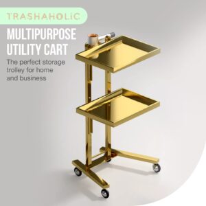 Multifunctional 2-Tray Utility Cart on Wheels - Gold 2-Level Medical Trolley Cart - Mobile Storage Tray Cart for Dental Tools, Cavitation Machine, Salon Supplies - Brass Foldable Storage Trays