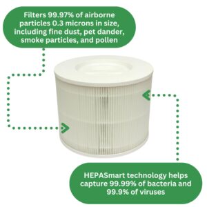 REPLACEMENT FILTER WITH HEPA AND CARBON H13 FOR USE WITH MaxLite AIR PURIFIER AP215SF1